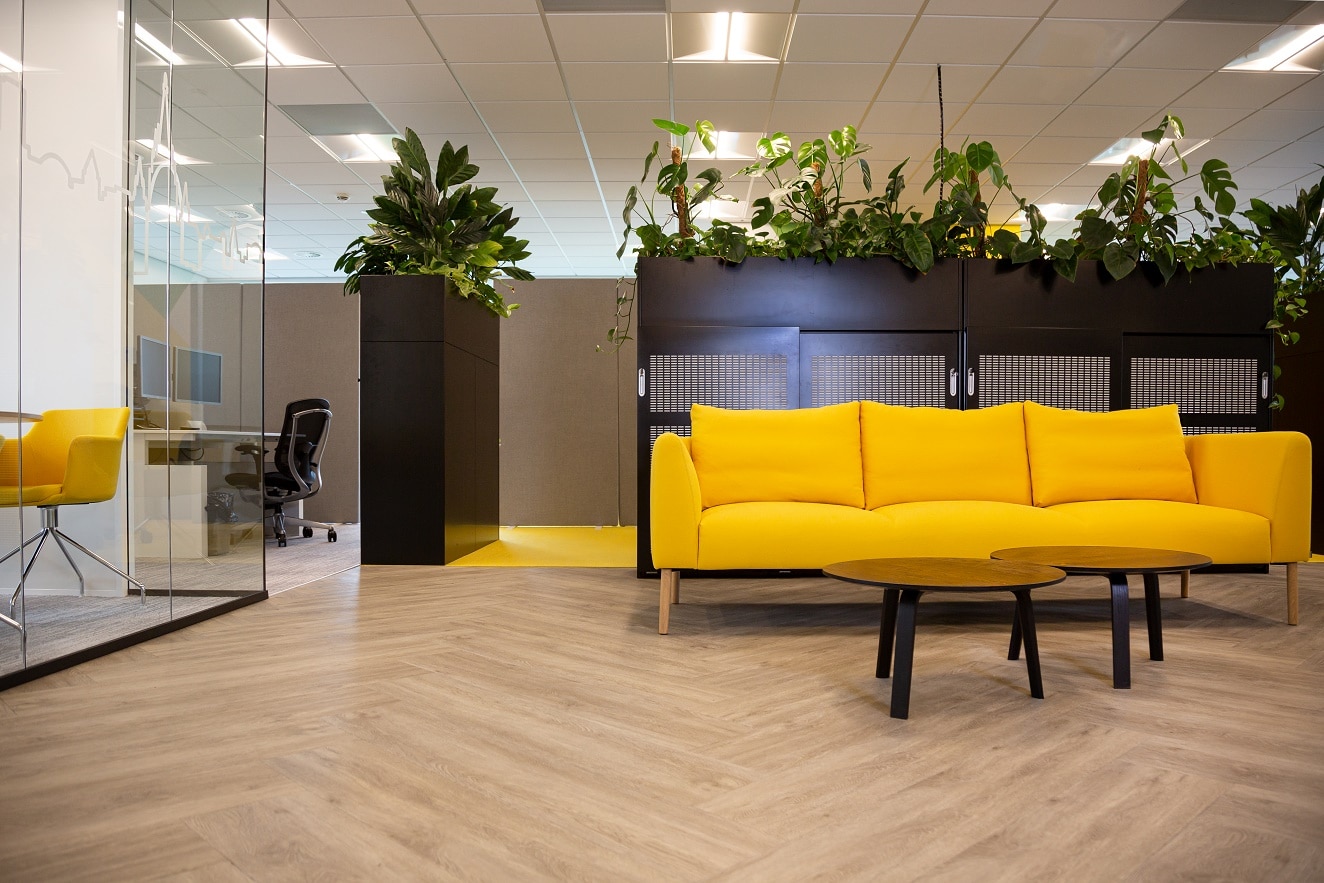 Accountant en financieel adviseur Rotterdam | Newtone